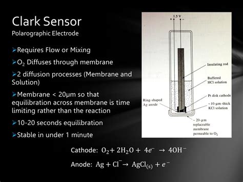 Ppt Oxygen Measurement Powerpoint Presentation Free Download Id 5701940