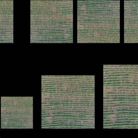 Examples Of Dataset Augmentation Methods Download Scientific Diagram