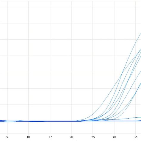 Amplification Plot Of Real Time Pcr Assay Targeting 5utr Of Ibv