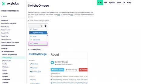 In Depth Oxylabs Review Performance Tests Proxyway