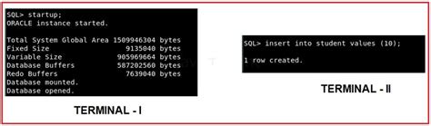 Oracle Database Shutdown Procedure Tpoint Tech