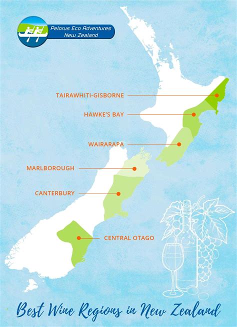 The Best Wine Regions In New Zealand Kayak New Zealand