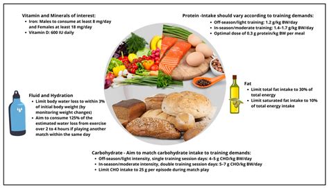 Of Nutritional Recommendations Macronutrients Key Micro Nutrients Of Download Scientific