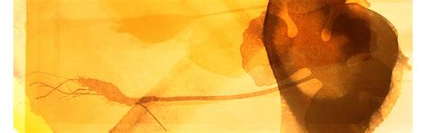 New Suns J Drew Lanham