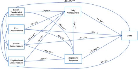 Unstandardized Path Coefficients Standard Errors For The Total Sample
