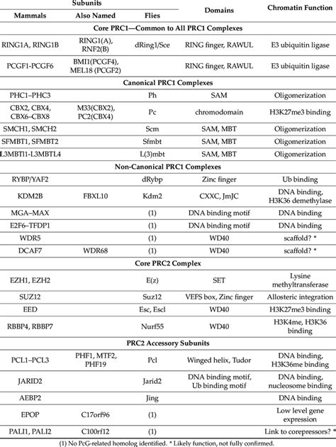 Polycomb Group Pcg Proteins Complexes Domains And Major Functions