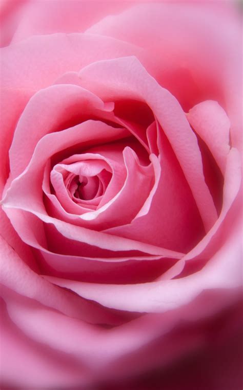 Nature 001 Mobile Wallpapers 171 1080p To 4k Album On Imgur