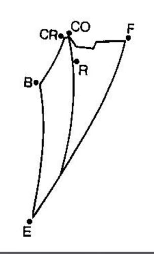 Occlusion Flashcards Quizlet