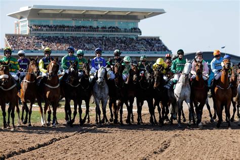 Grand National Expert Who Tipped 33 1 Winner Last Year Gives 1 2 3 In