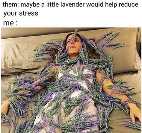 30 Memes For Those Who Are Tired And Feel Like Life Is Overwhelming, Shared By This Instagram ...