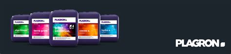 Tabella Plagron: impara come utilizzarla