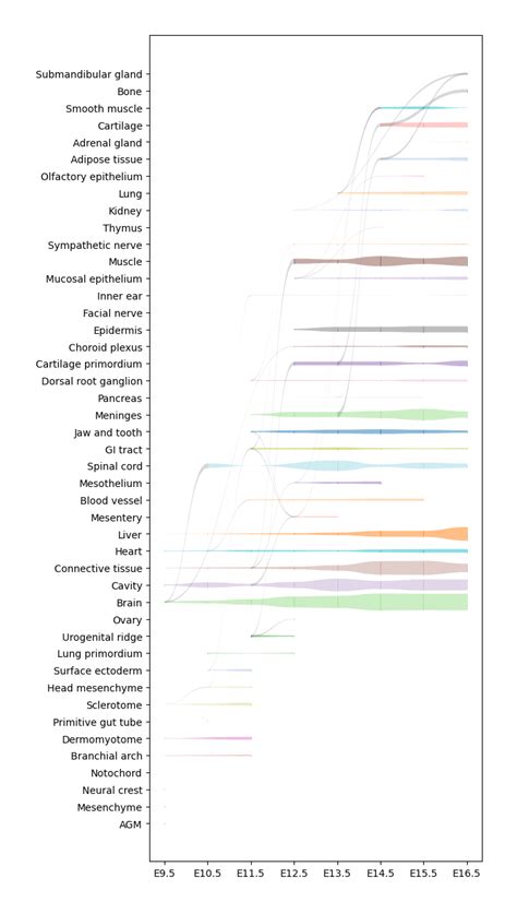 time series analysis stereopy