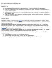 Understanding DNA Replication Errors Repair Mechanisms Course Hero