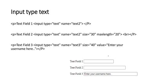 Html Forms Basics By Kamran Solangipptx