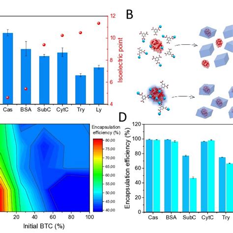 A Encapsulation Efficiency Obtained For The Different Proteins With Download Scientific