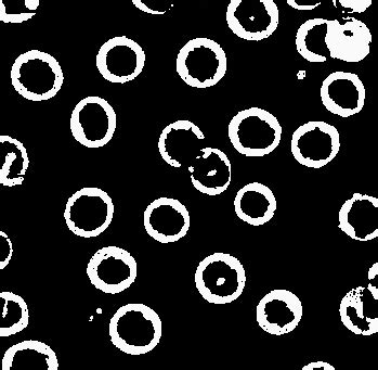 python opencv实现二值图像孔洞填充 清热降火 博客园