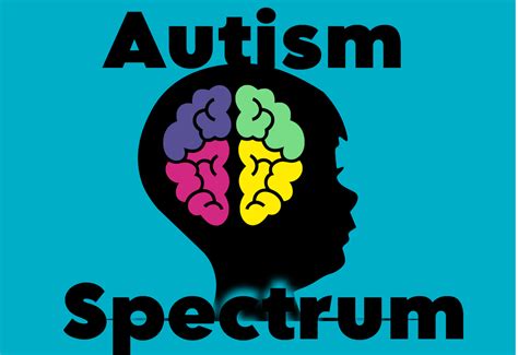 Causes Of Autism Spectrum Disorder Explained Clearly 2024