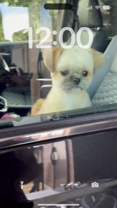 764 Live Wallpaper Ideas For Phone Widgetclub