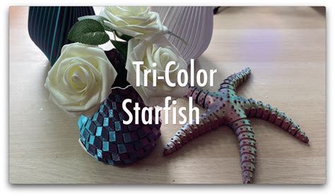 Tri Color Rainbow Articulated Starfish 3d Print Stick Xl