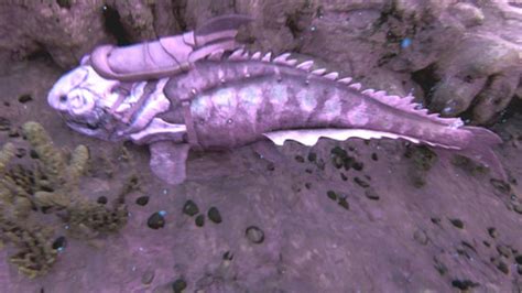 Dunkleosteus Pvp Consoles Arknomaly