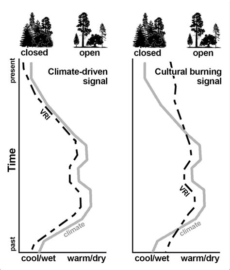 Figure E Conceptual Model Showing Expected Vegetation Response Vri