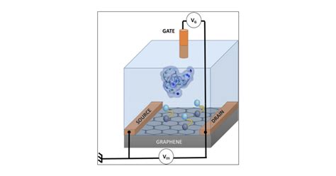 In Silico Design Of A Solution Gated Graphene Transistor Sensor For The