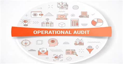 Operational Auditing Assignment Point Operational Auditing Assignment Point