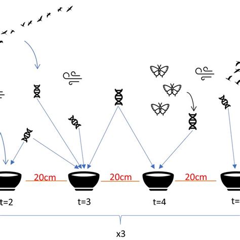 Illustration Of The Experimental Setup In This Study Given The