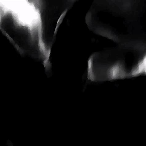 Sick Mortem Death Fly Lyrics And Tracklist Genius