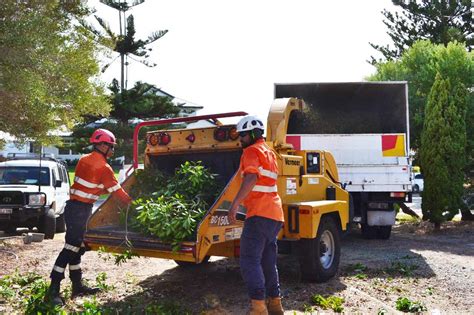 Expert Tree Care Services Rockingham Mandurah Nearby Areas
