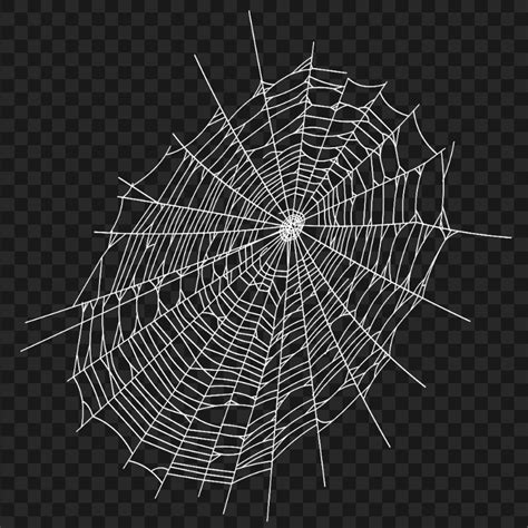 Spider Web Png No Background