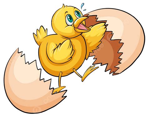 An Egg Hatching Eggshell Bird Background Vector Eggshell Bird