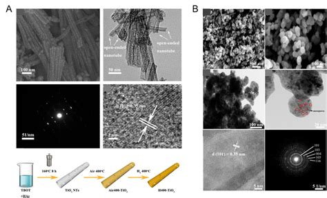 A Sem Tem Saed Hrtem Images And Schematic Illustration Of The