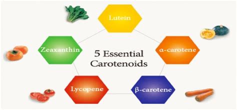 Carotenoids Analysis Service Creative Proteomics