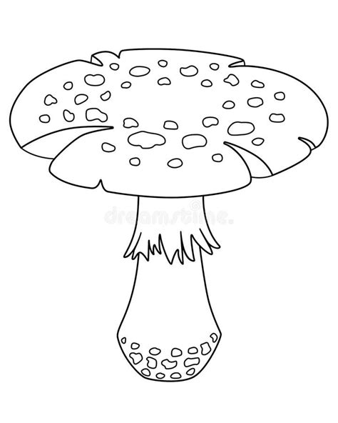 Mosca Agaric Imagen Lineal Del Vector De Hongos Grandes Manchados Para