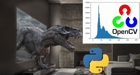 Opencvによる画像処理のヒストグラム【python】 ジコログ