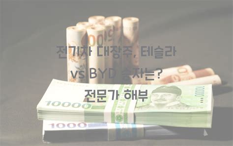 전기차 대장주 테슬라 Vs Byd 승자는 전문가 해부