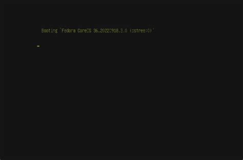 Strange Failed First Boot Behavior Of Fcos 36 On Hetzner Dedicated Ex43 Alder Lake · Issue