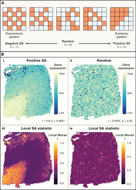 Mapping The Transcriptome Realizing The Full Potential Of Spatial Data Analysis Cell
