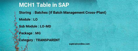 Mch1 Sap Table For Batches If Batch Management Cross Plant
