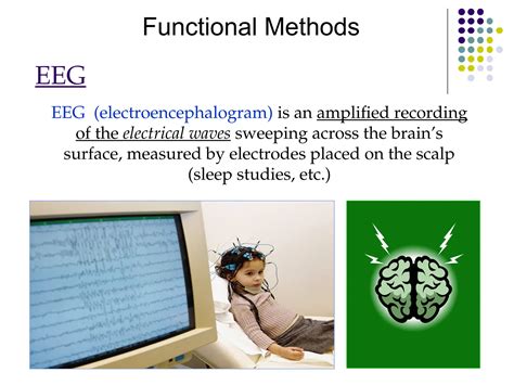 Neurological Basis Of Behavior Structure Of Brain And Functions Ppt