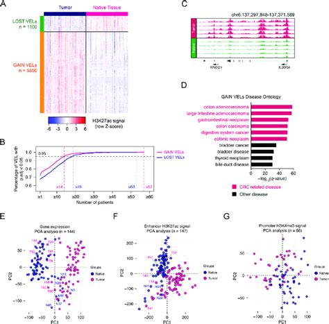 Identification Of Variant Enhancer Loci In Crc A Relative H3k27ac Download Scientific Diagram
