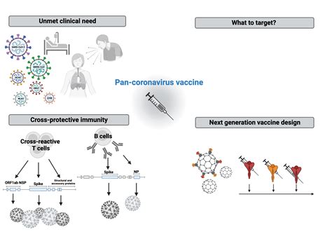 Leosgraphical Abstract Biorender Science Templates