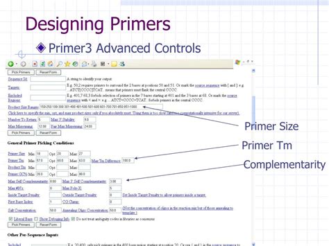 Ppt Primer Design Powerpoint Presentation Free Download Id152509