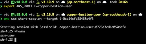 Access To Bastion Host Using Aws Ssm