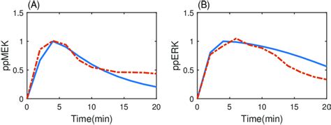 comparison of experimental data and simulation using the estimated