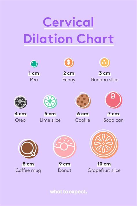 Here S What Happens When Your Cervix Dilates Cervical Dilation Chart