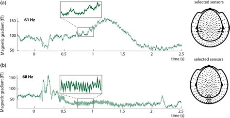 event‐related fields show clear responses at the tagged frequencies