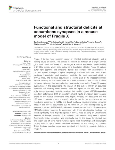 Pdf Functional And Structural Deficits At Accumbens Synapses In A