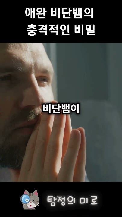 내 애완 비단뱀의 충격적인 비밀 공포 미스터리 범죄 사건 Youtube
